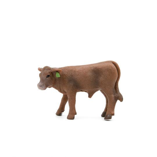 Little Buster Red Angus Calf – R Bar B